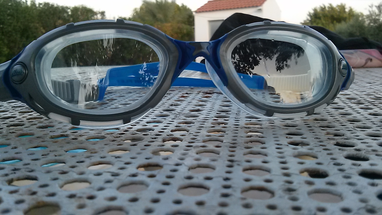 Test de las gafas Zoggs Predator Flex, imágenes y opinión